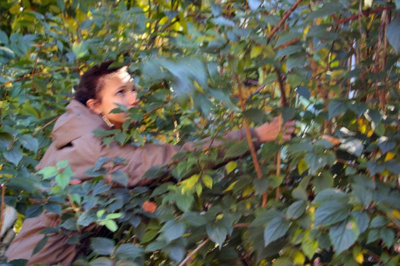 Exkursionen und Projekte