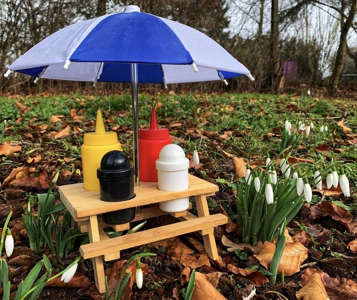 Wirtschaft, Technik und Haushalt/Soziales - (WTH/S) | oscz