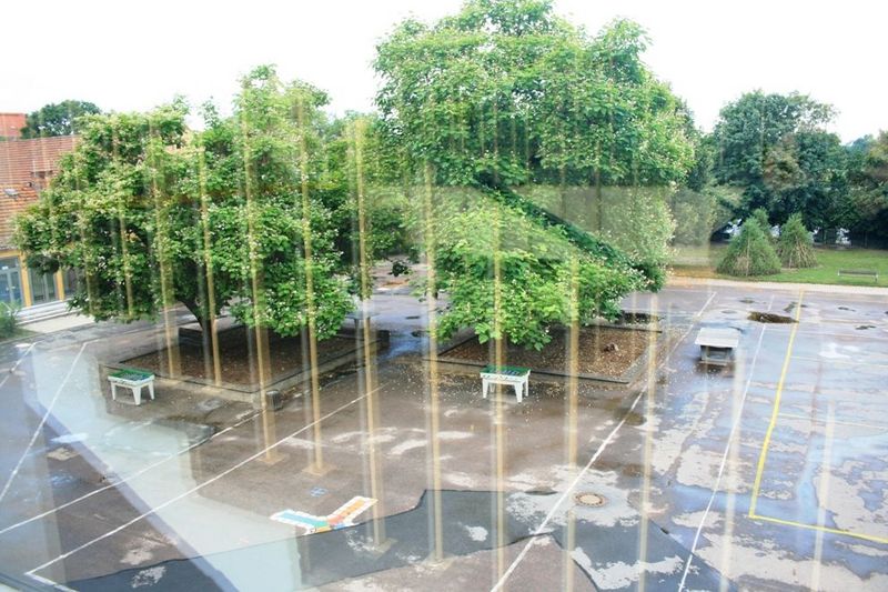 Schulhof | 30. Grundschule ´Am Hechtpark´