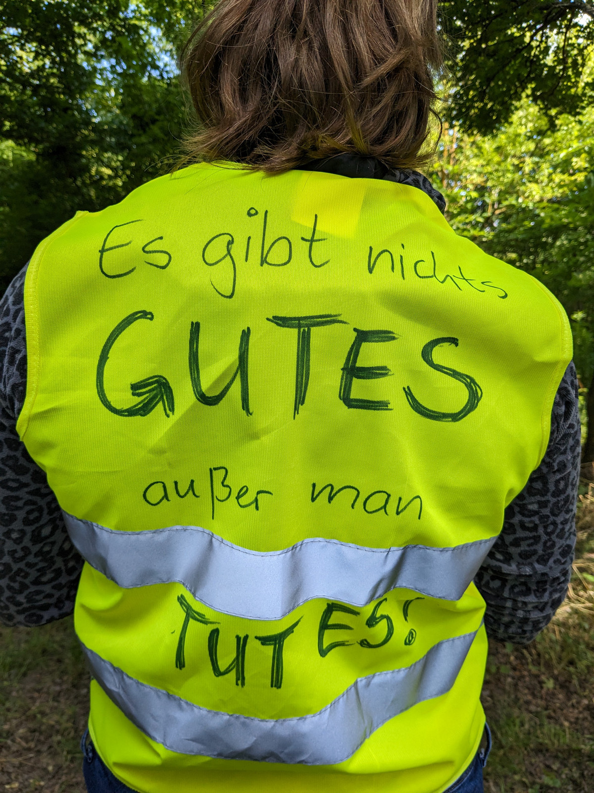 Einzelansicht | TYPO3-Theme based on themes_gridelements