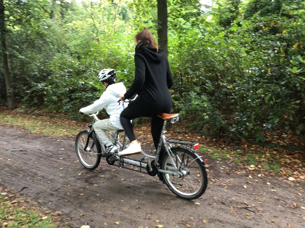 Einzelansicht | TYPO3-Theme based on themes_gridelements