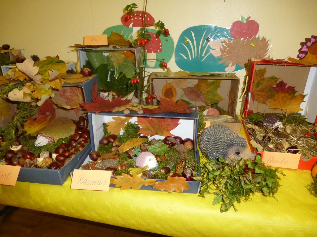 Einzelansicht | Grundschule Albrecht Dürer